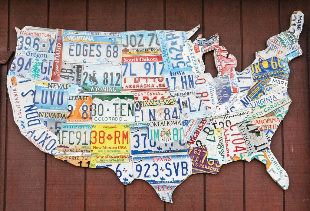 License Plate - Wayne County